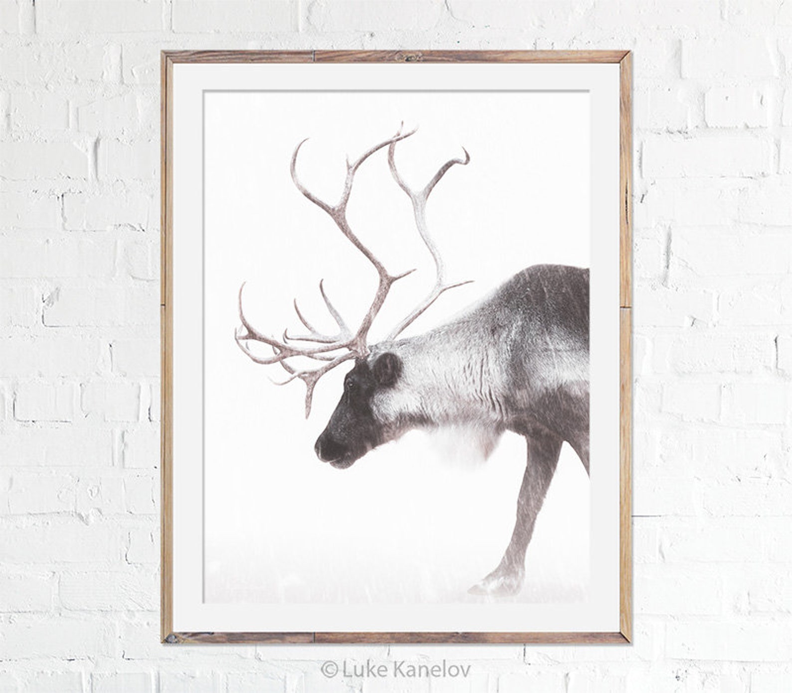 Reindeer Print, Fine Art Print, Majestic Deer, Handmade, Home Decor ...
