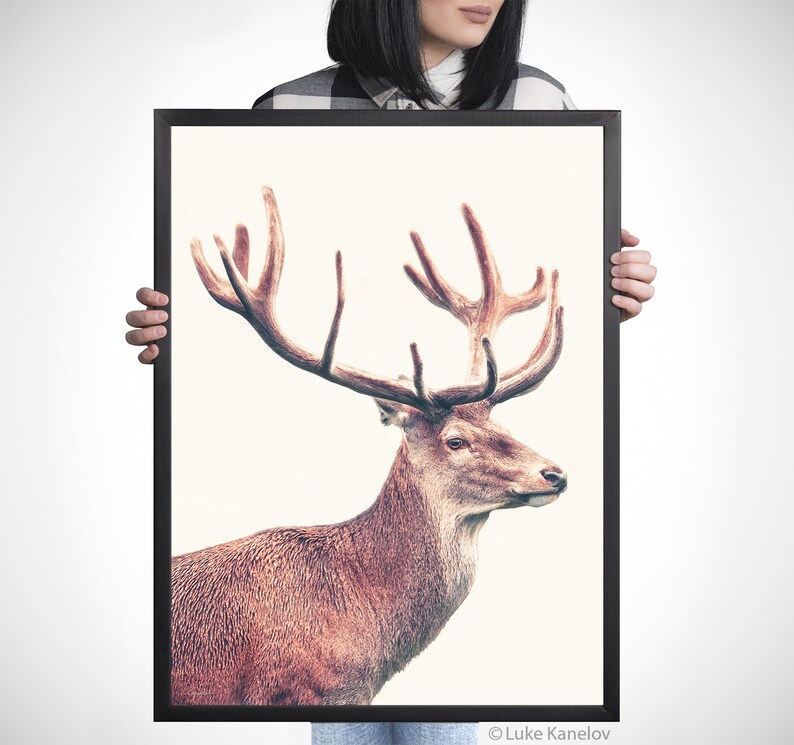 Red Deer Print Stag Art Poster Fine Art Print Deer - Etsy