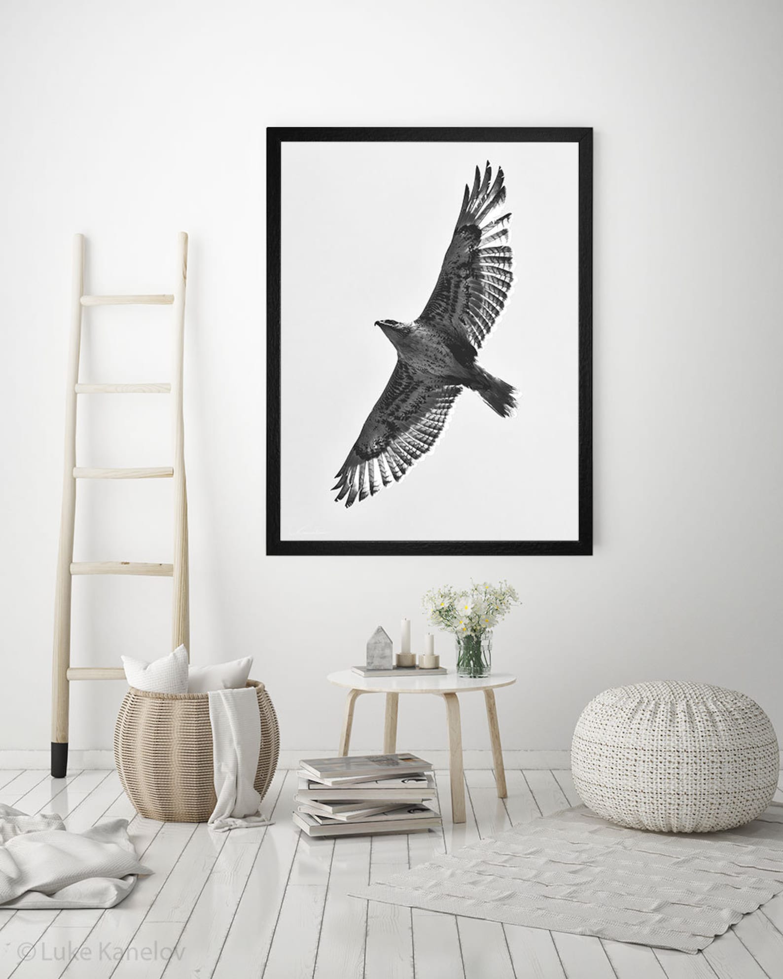 Hawk Photography Print Fine Art Photography Bird Lover Gift - Etsy