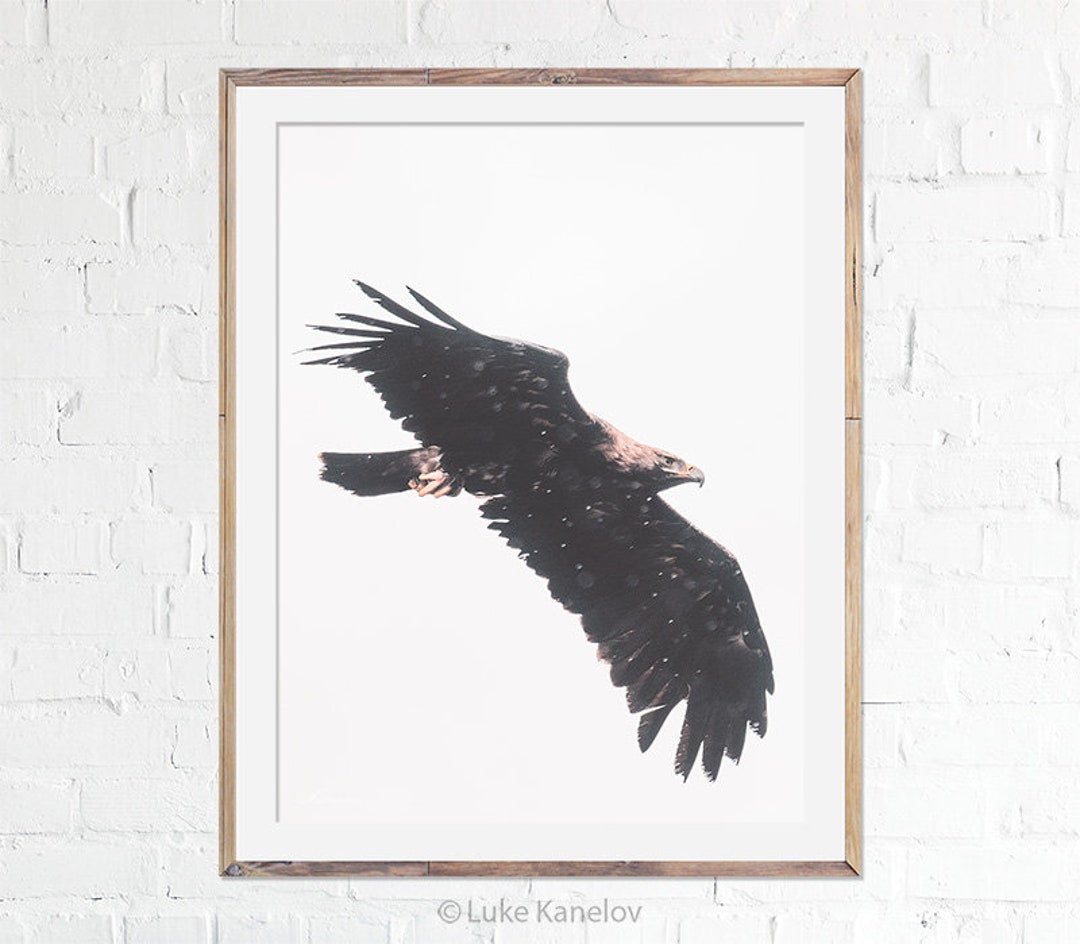 Golden Eagle Print, Eagle Photography, Bird Poster, Golden Eagle Art ...