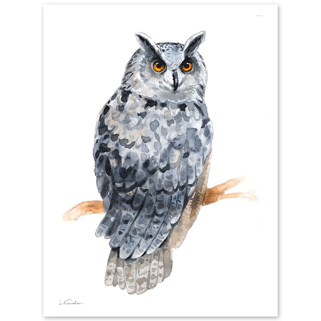 Eastern Screech Owl, Watercolor Art, Funny Owl, Bird of Prey, Art Gift ...
