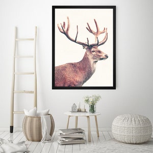 Red Deer Print Stag Art Poster Fine Art Print Deer - Etsy