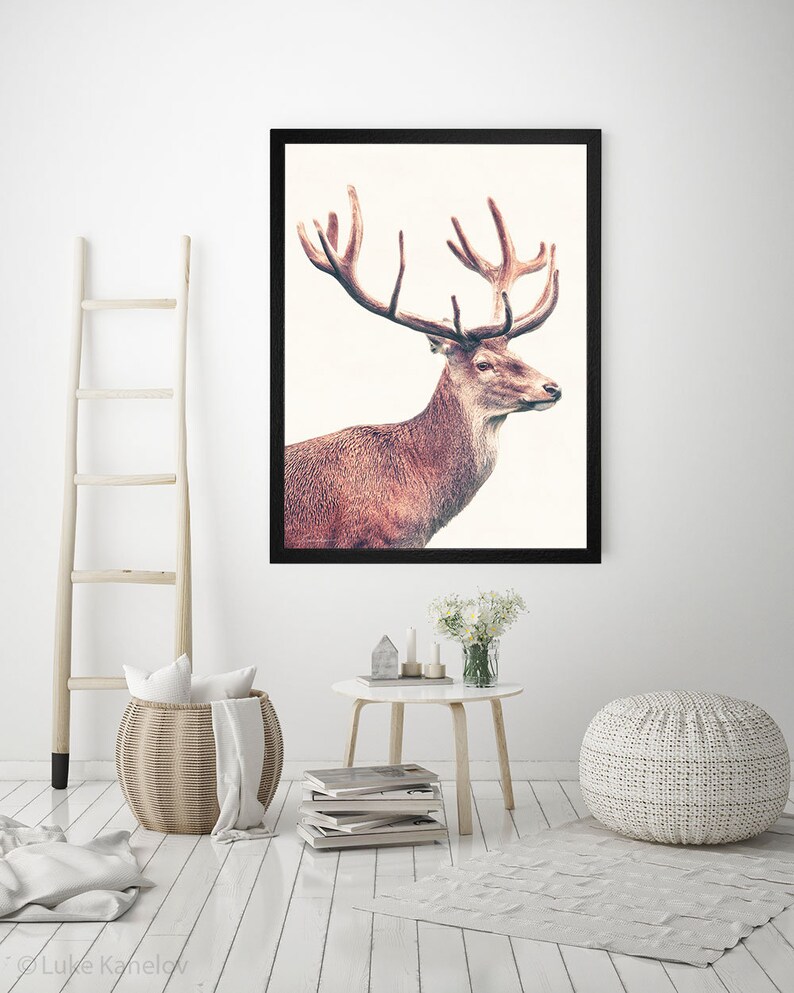 Red Deer Print Stag Art Poster Fine Art Print Deer - Etsy