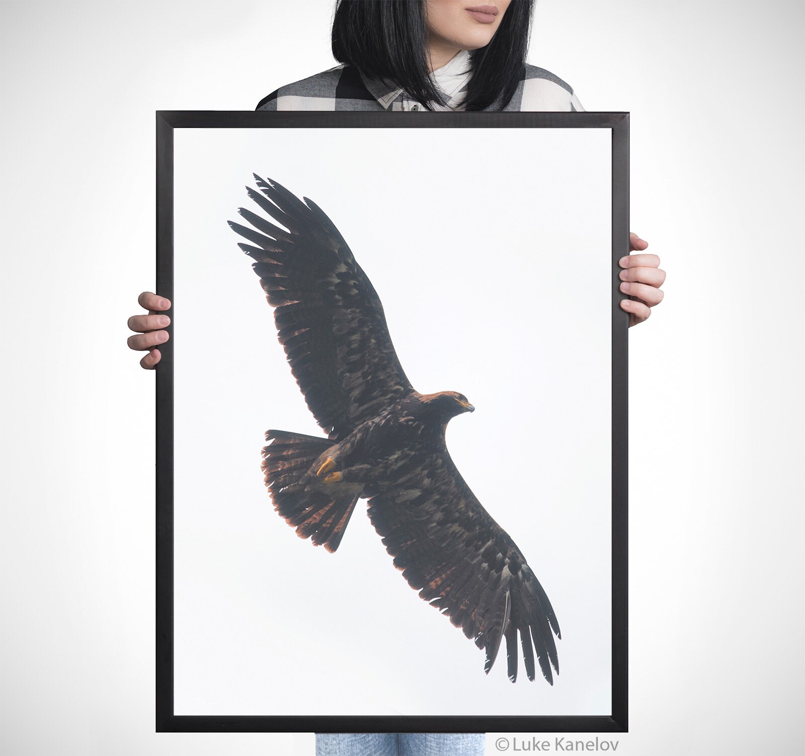 Golden Eagle Print, Eagle Fine Art Photography, Bird Lover Gift Idea ...