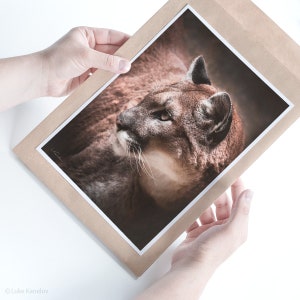 Puma Print, Cougar Home Decor, Mountain Lion, Wild Cat, Nursery Art ...