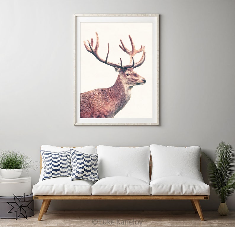 Red Deer Print Stag Art Poster Fine Art Print Deer - Etsy