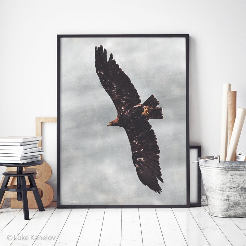 Golden Eagle Photography Print, Eagle Art, Golden Eagle Art, Fine Art ...