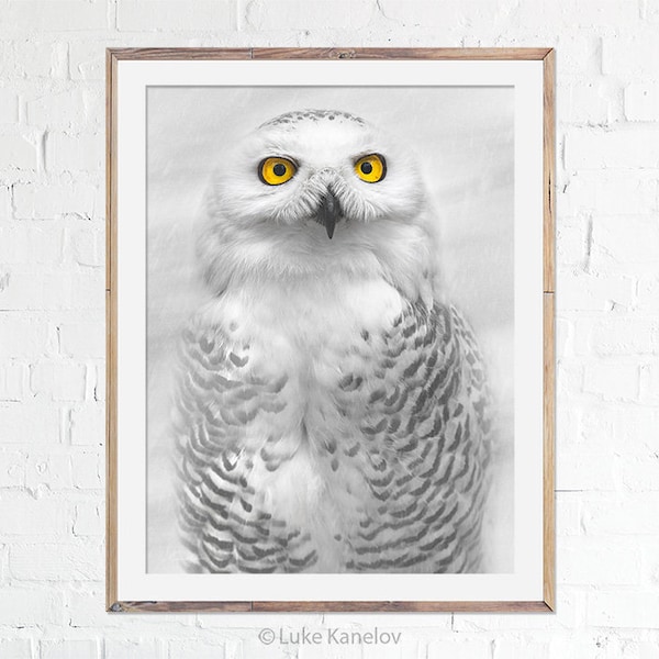 Owl Print - Etsy