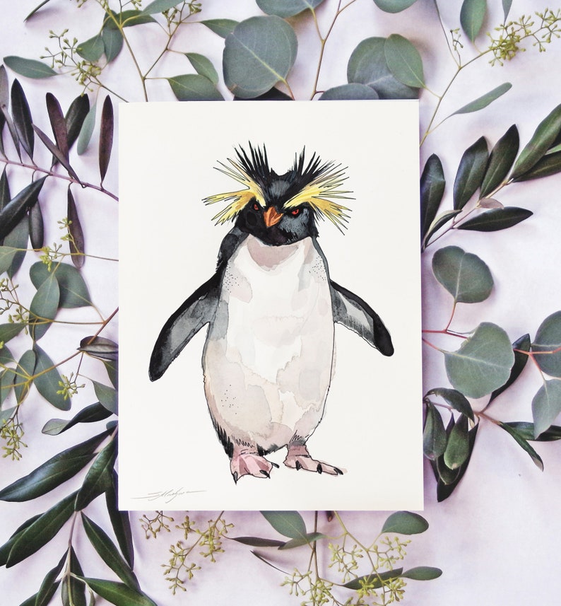 ORIGINAL Northern Rockhopper Penguin Watercolor Painting, Hand-painted ...