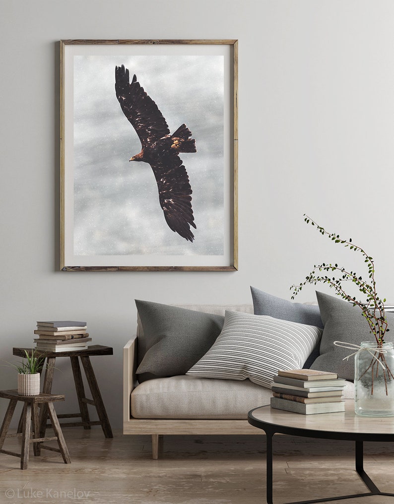 Golden Eagle Photography Print, Eagle Art, Golden Eagle Art, Fine Art ...