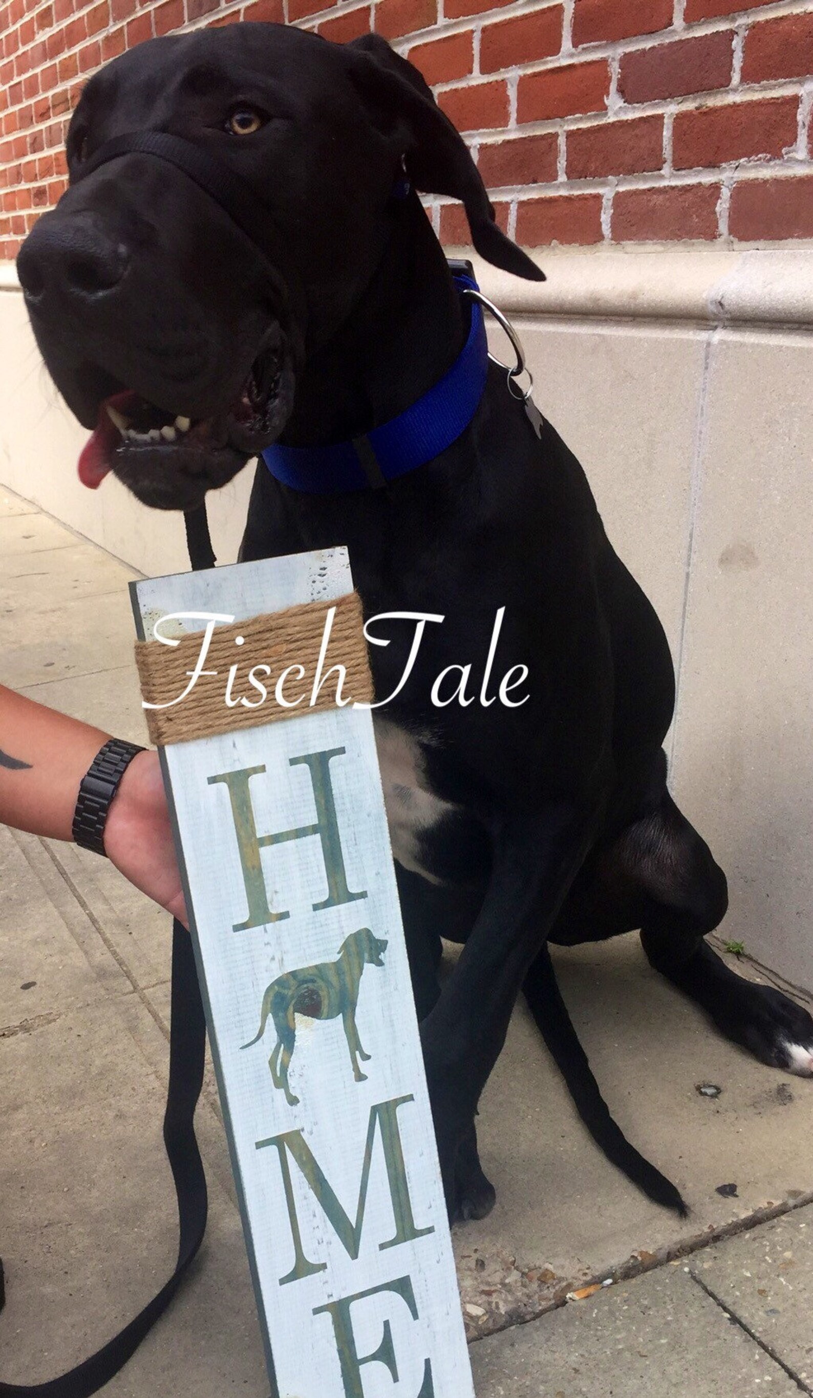 Great Dane Sign - German Mastiff Dog Sign - Great Dane Home Sign - Dog ...