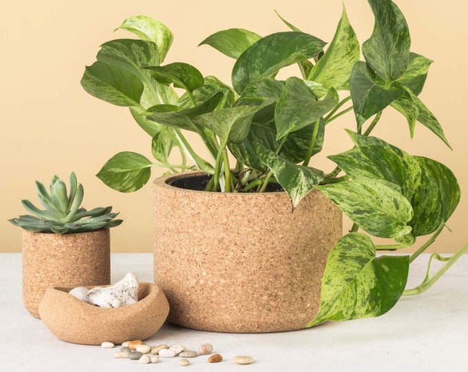 Aurora Large Cork Planter - Etsy