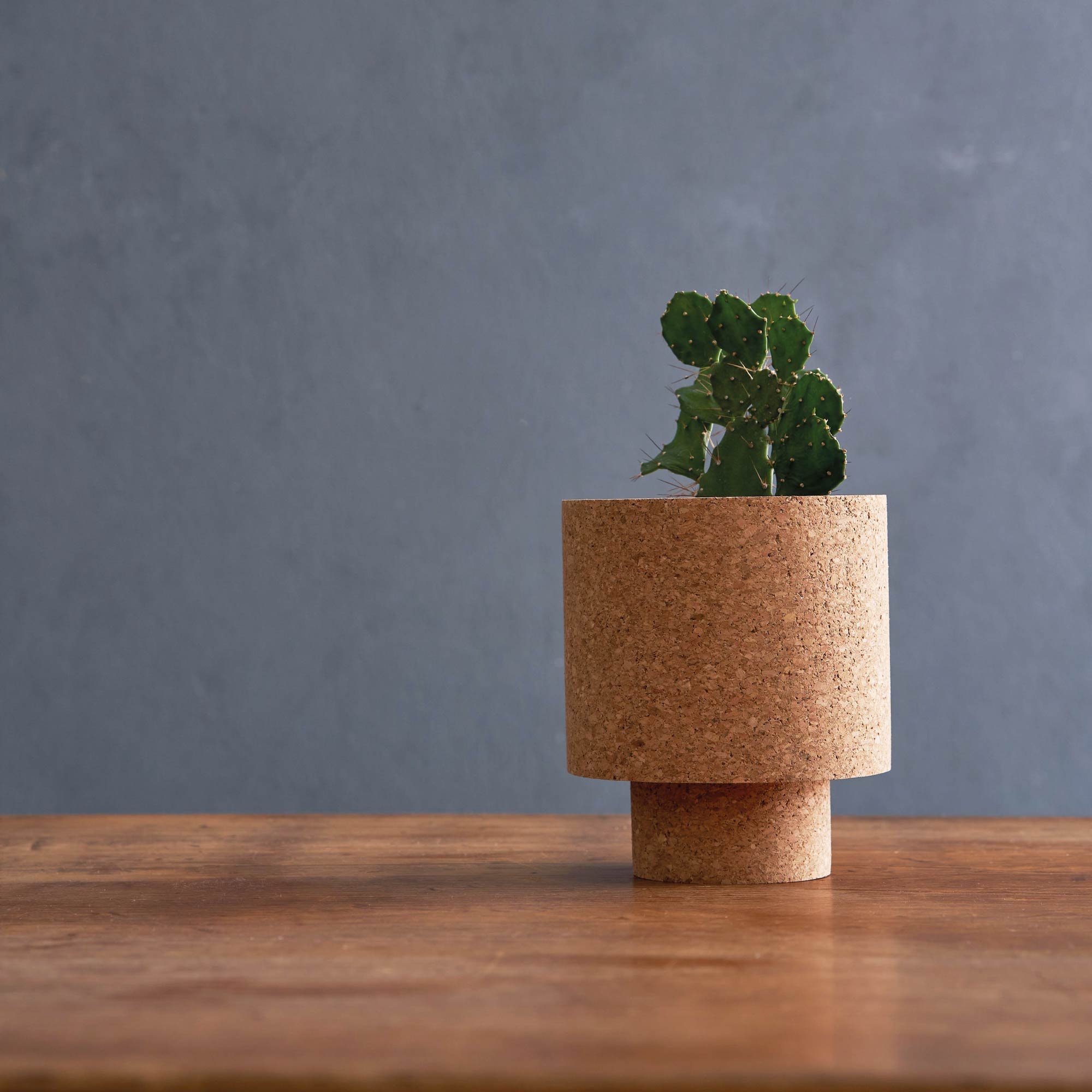 Isla Cork Planter Cork Desk Tidy - Etsy