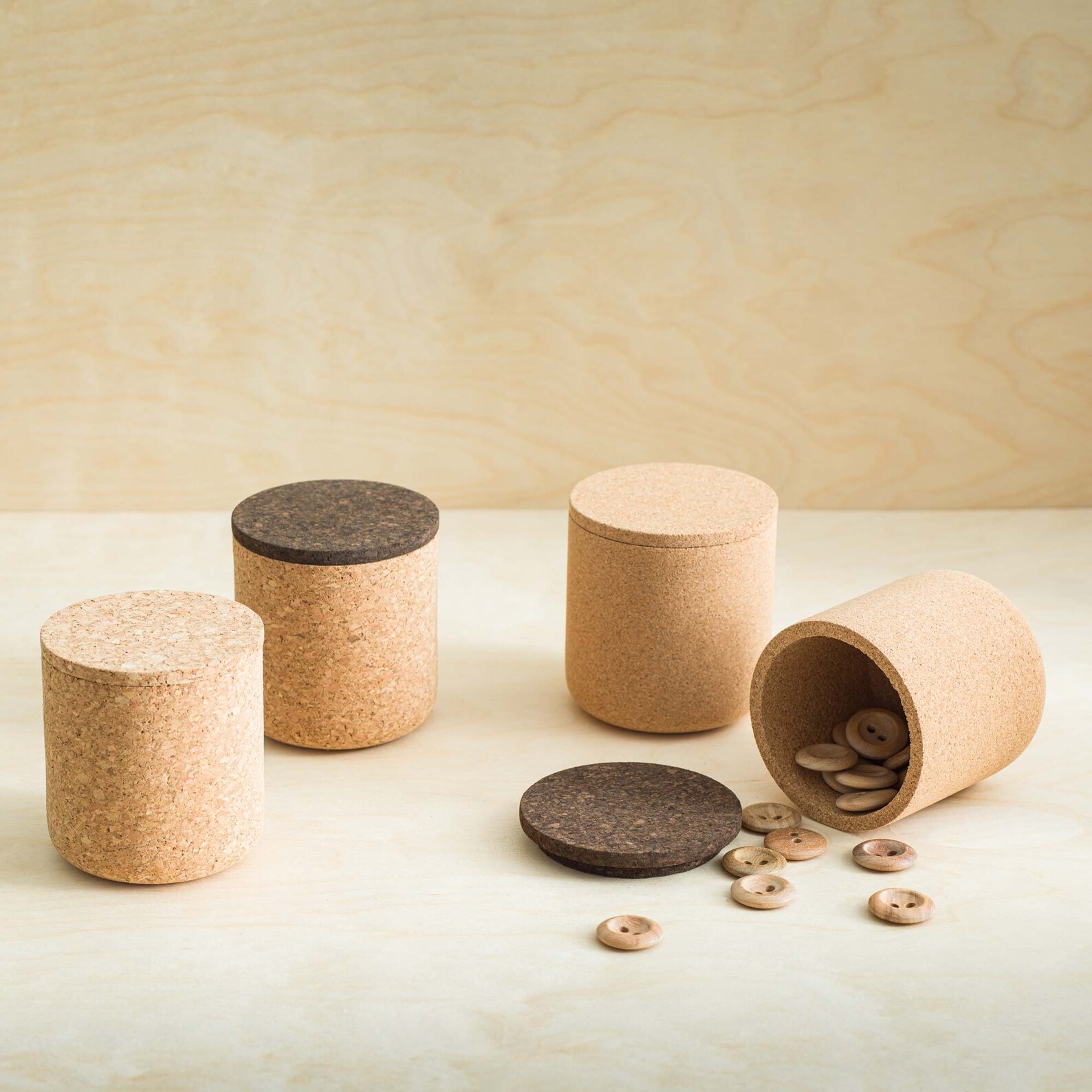 Emke Cork Vessel Ash Cork Lid Desk Tidy Storage Pot - Etsy