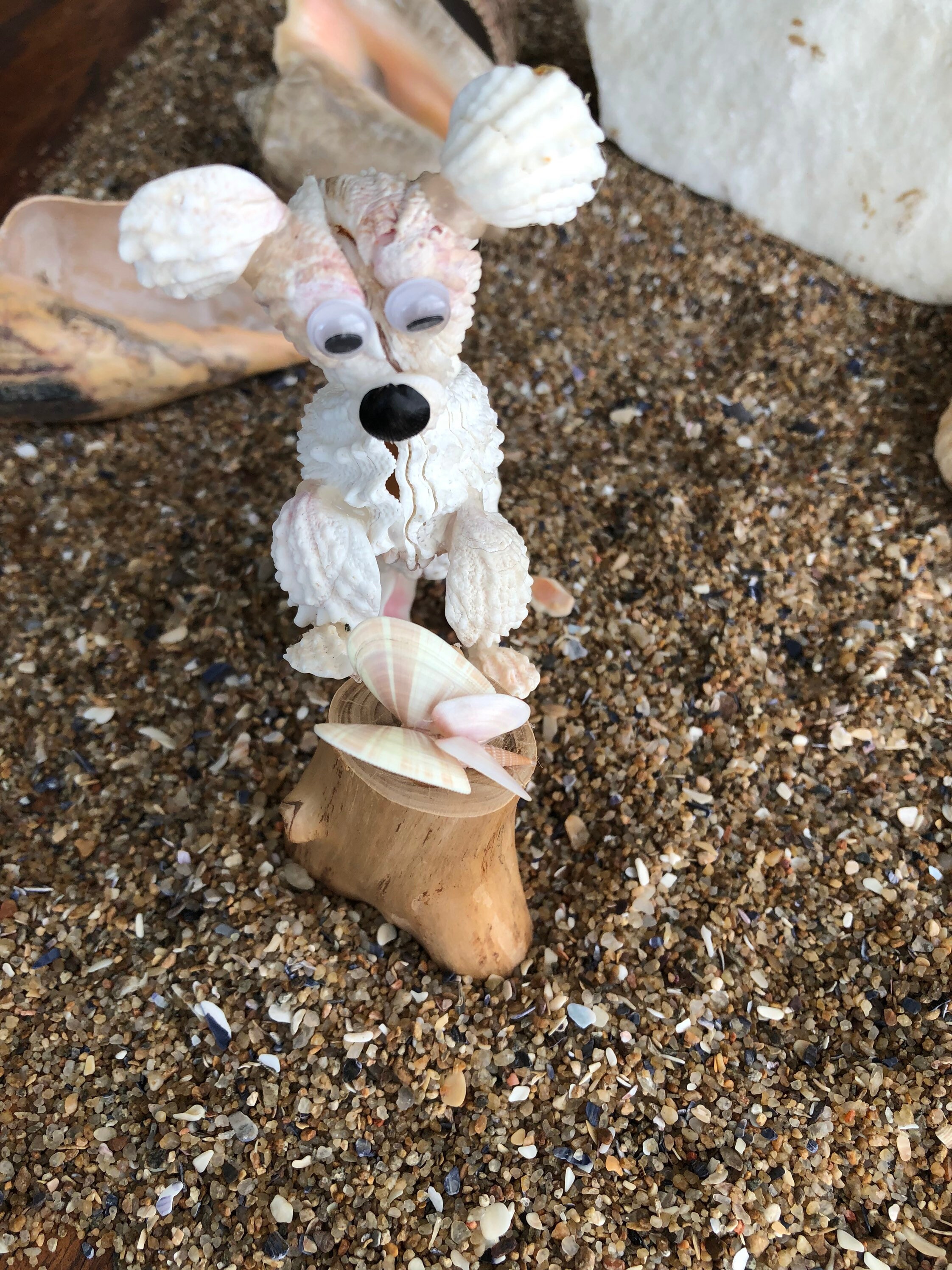 Seashell Dog, Florida Seashell Art, Natural and Genuine Seashell ...