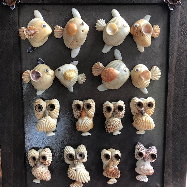 Seashell Art - Etsy