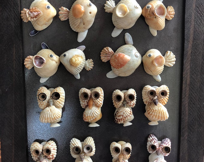 Seashell Frog With Fan, Frog Figurine, Seashell Art, Sanibel Island ...