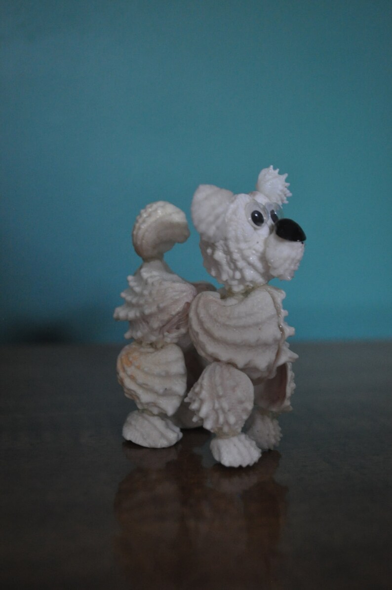 Seashell Dog, Florida Seashell Art, Natural and Genuine Seashell ...