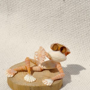 Seashell Frog With Fan, Frog Figurine, Seashell Art, Sanibel Island ...