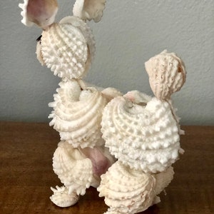 Seashell Dog - Etsy