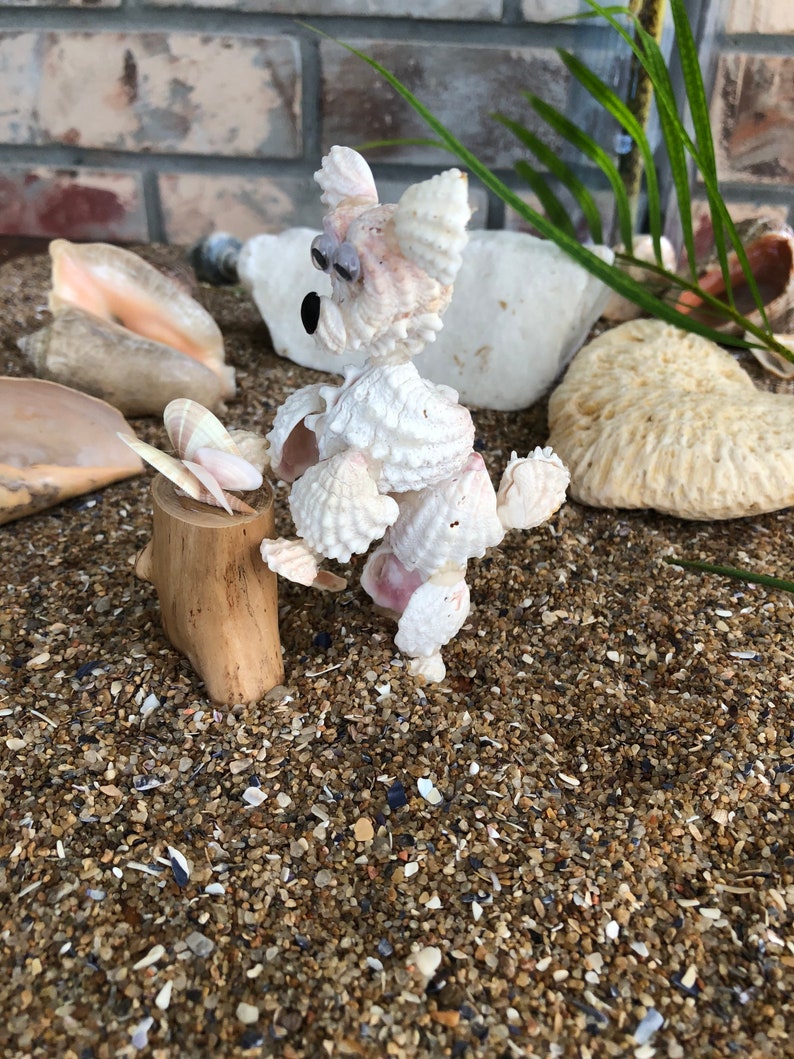 Seashell Dog Florida Seashell Art Natural and Genuine - Etsy
