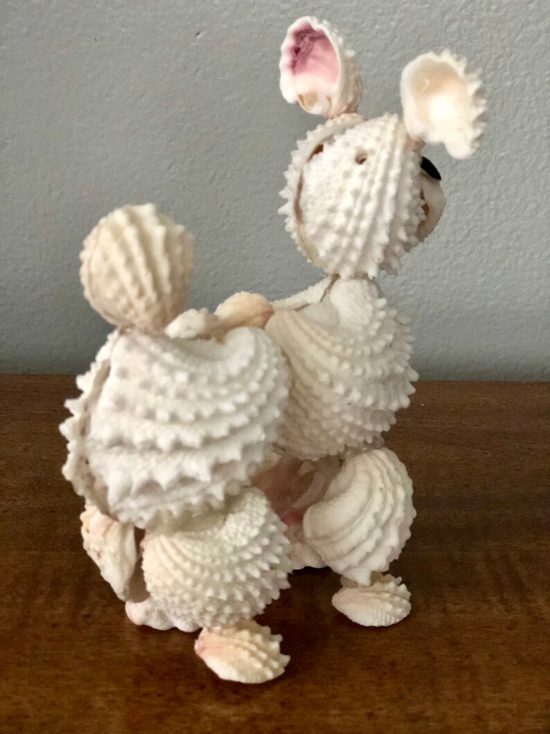 Seashell Dog - Etsy