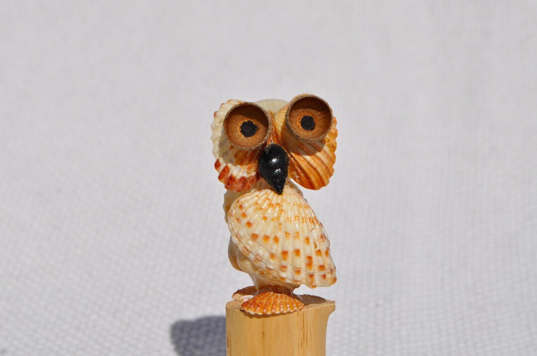 Broad-ribbed Cardita Seashell Owl, Beach Boho Decor, Costal Decor ...