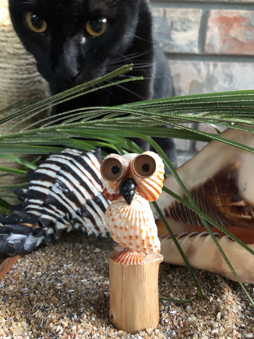 Seashell Owl, Shell Art, Florida Seashells Art, Sanibel Island Seashell ...
