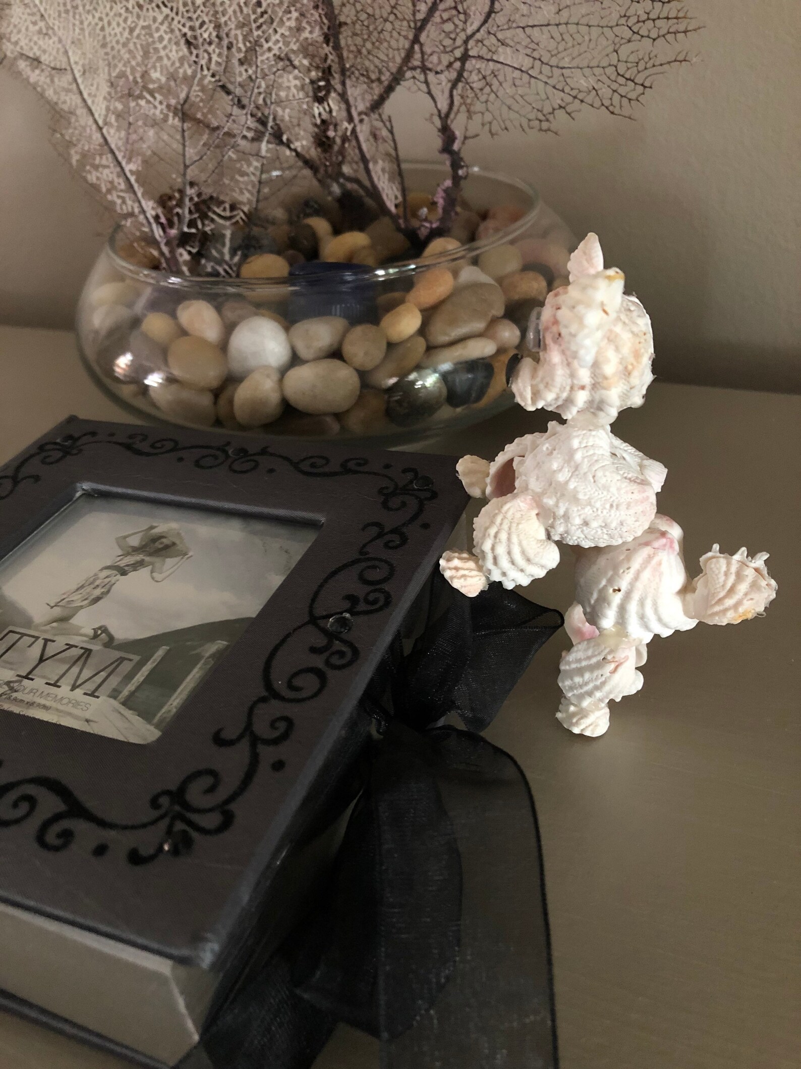 Seashell Dog Florida Seashell Art Natural and Genuine - Etsy