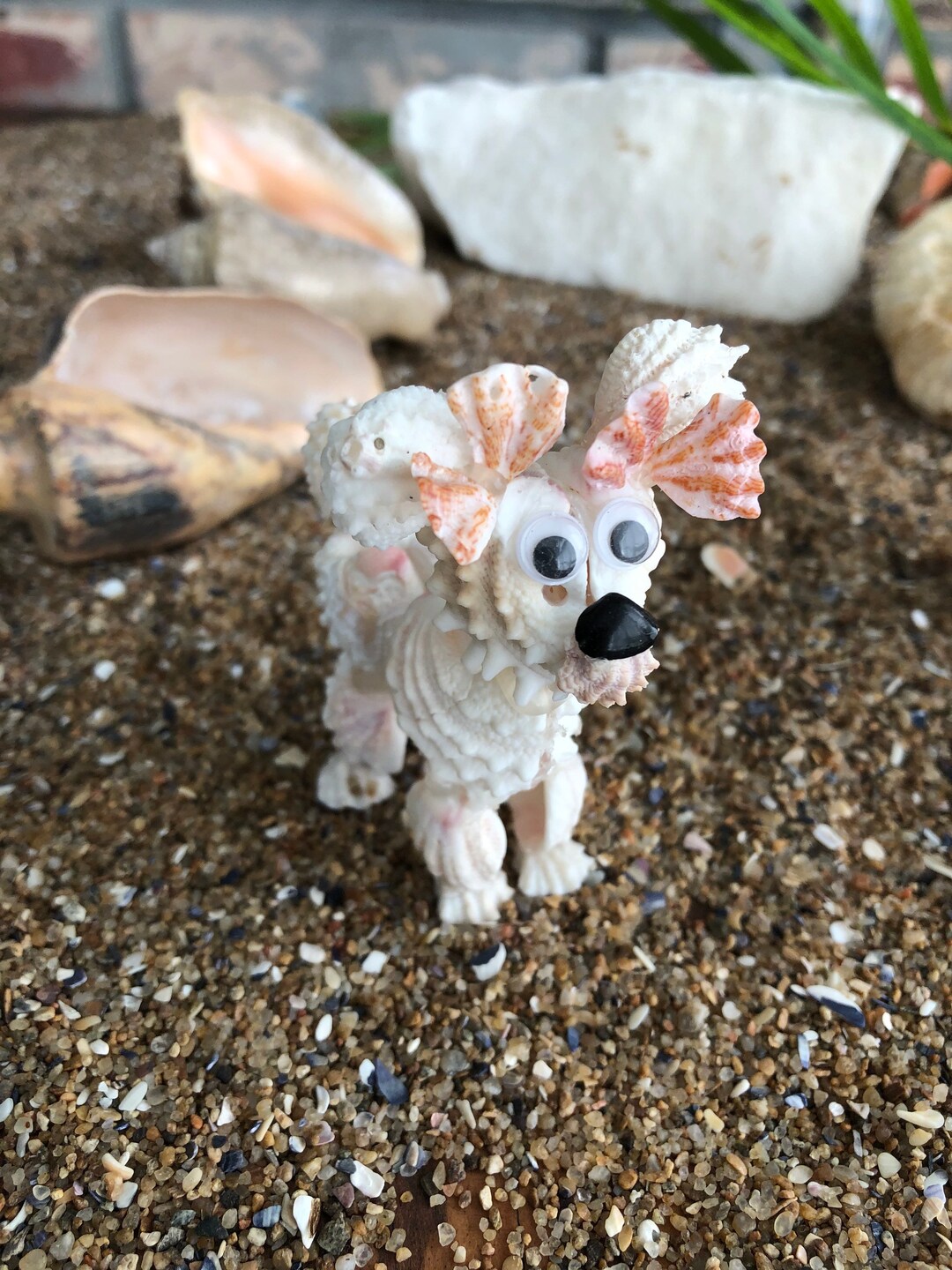 Seashell Dog - Etsy