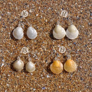 Atlantic Jingle Shell Earrings, Sanibel Island Jewelry, Florida Beach ...