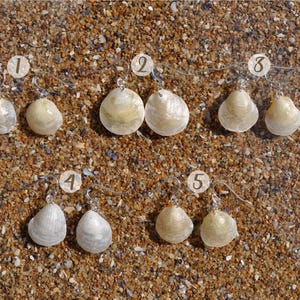 Atlantic Jingle Shell Earrings, Sanibel Island Jewelry, Florida Beach ...