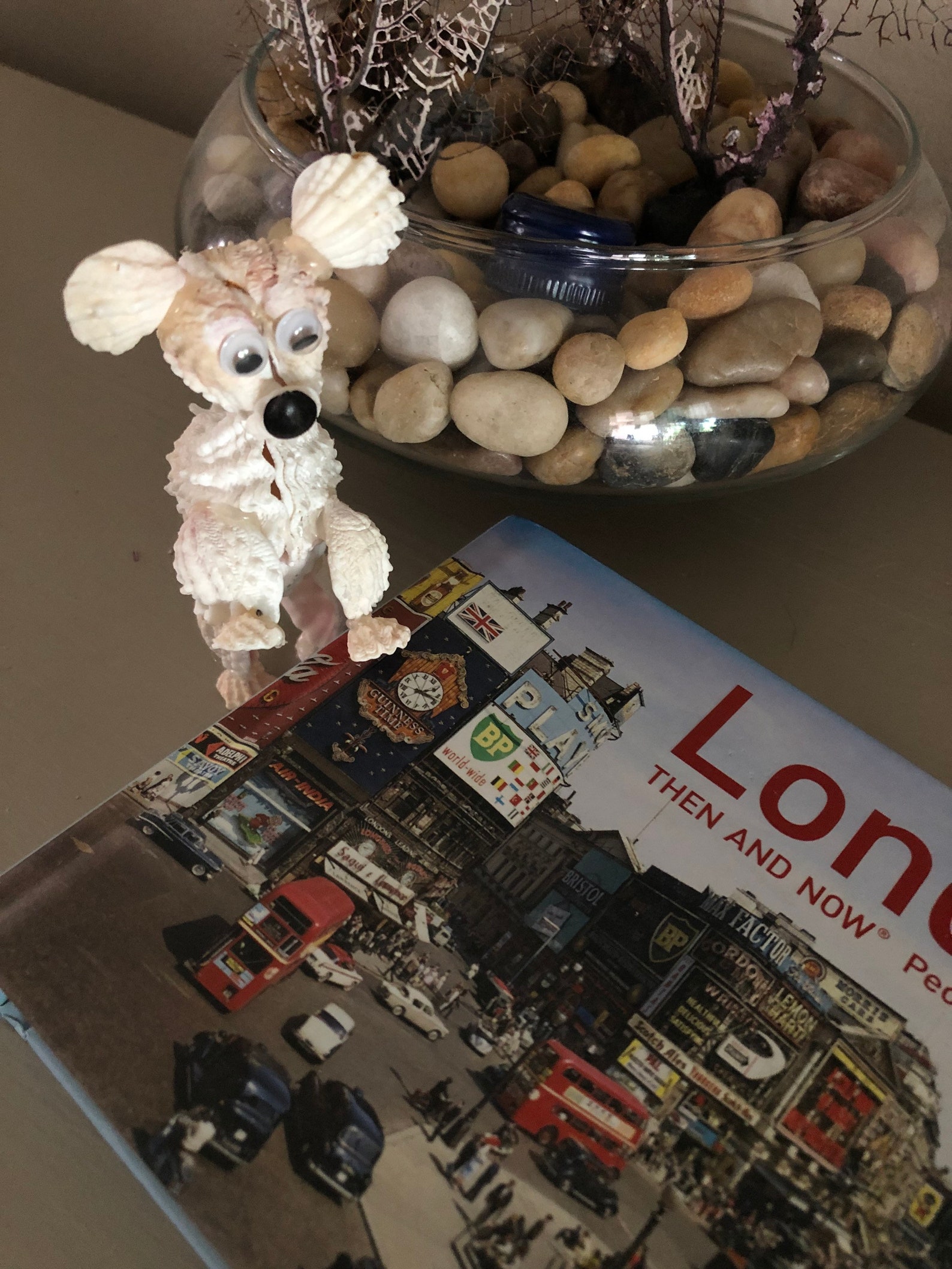 Seashell Dog, Florida Seashell Art, Natural and Genuine Seashell ...