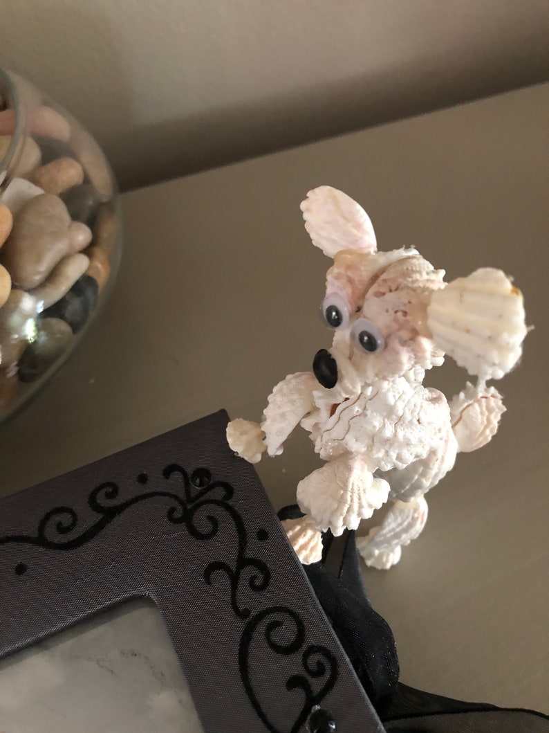 Seashell Dog Florida Seashell Art Natural and Genuine - Etsy