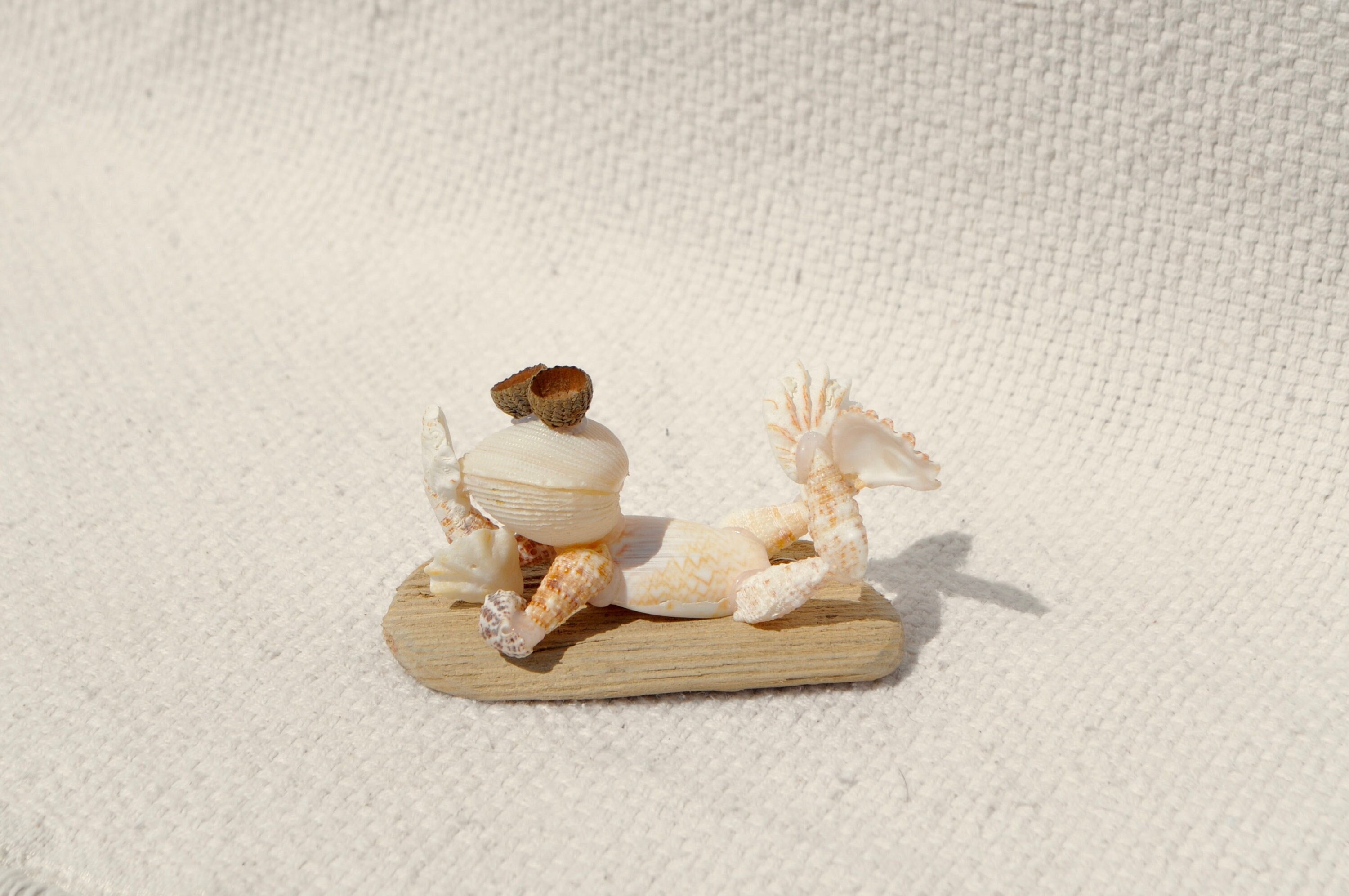 Seashell Frog Suntanning, Frog Figurine, Seashell Art, Sanibel Island ...