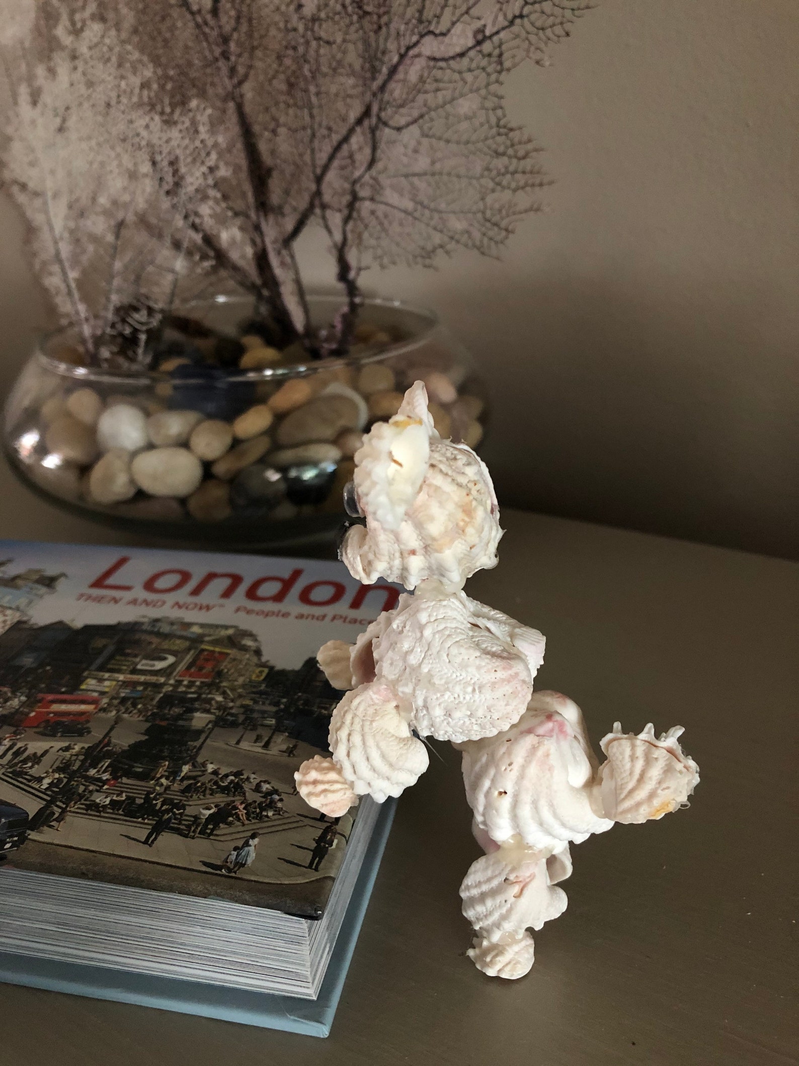 Seashell Dog Florida Seashell Art Natural and Genuine - Etsy