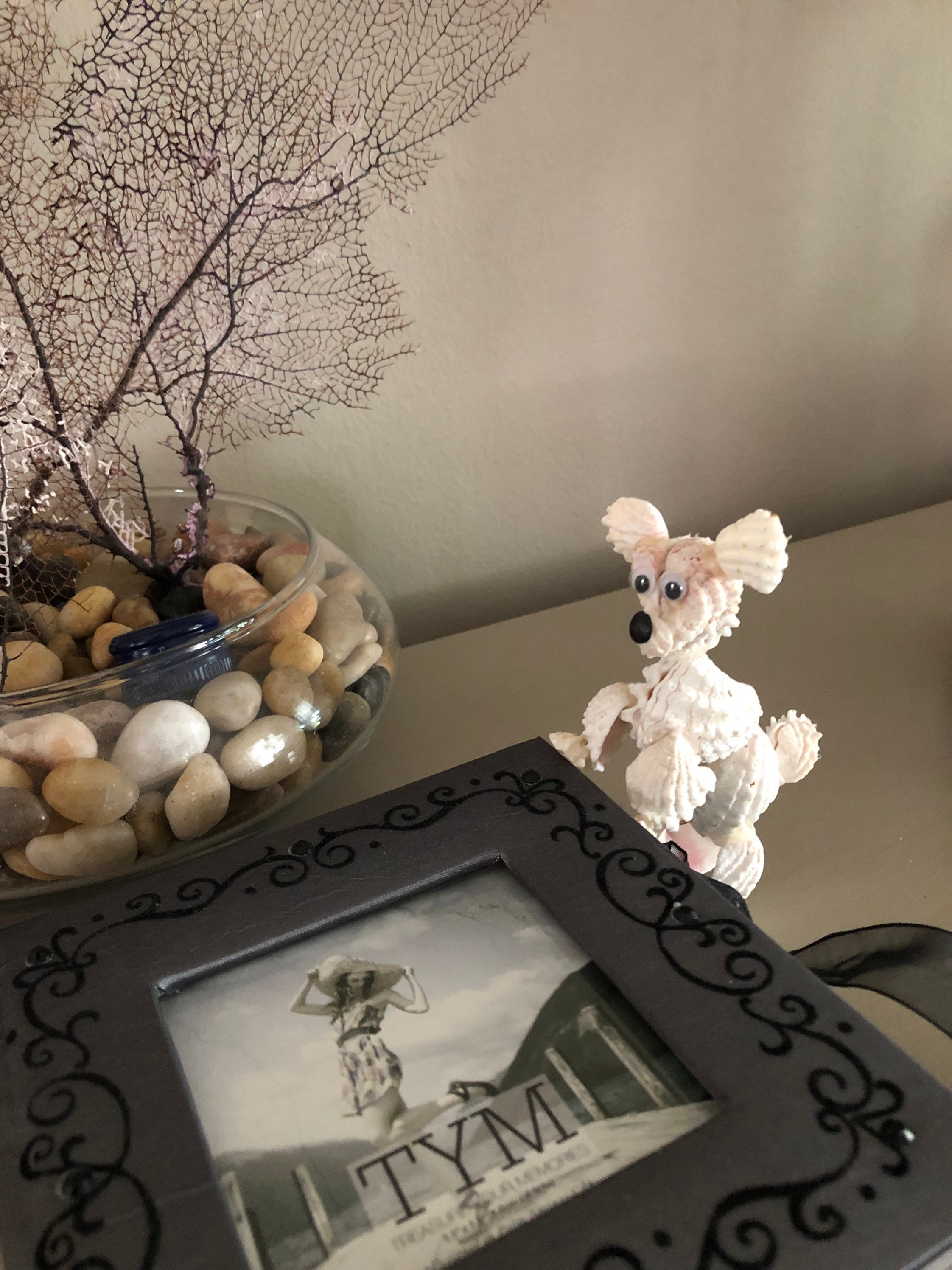 Seashell Dog, Florida Seashell Art, Natural and Genuine Seashell ...