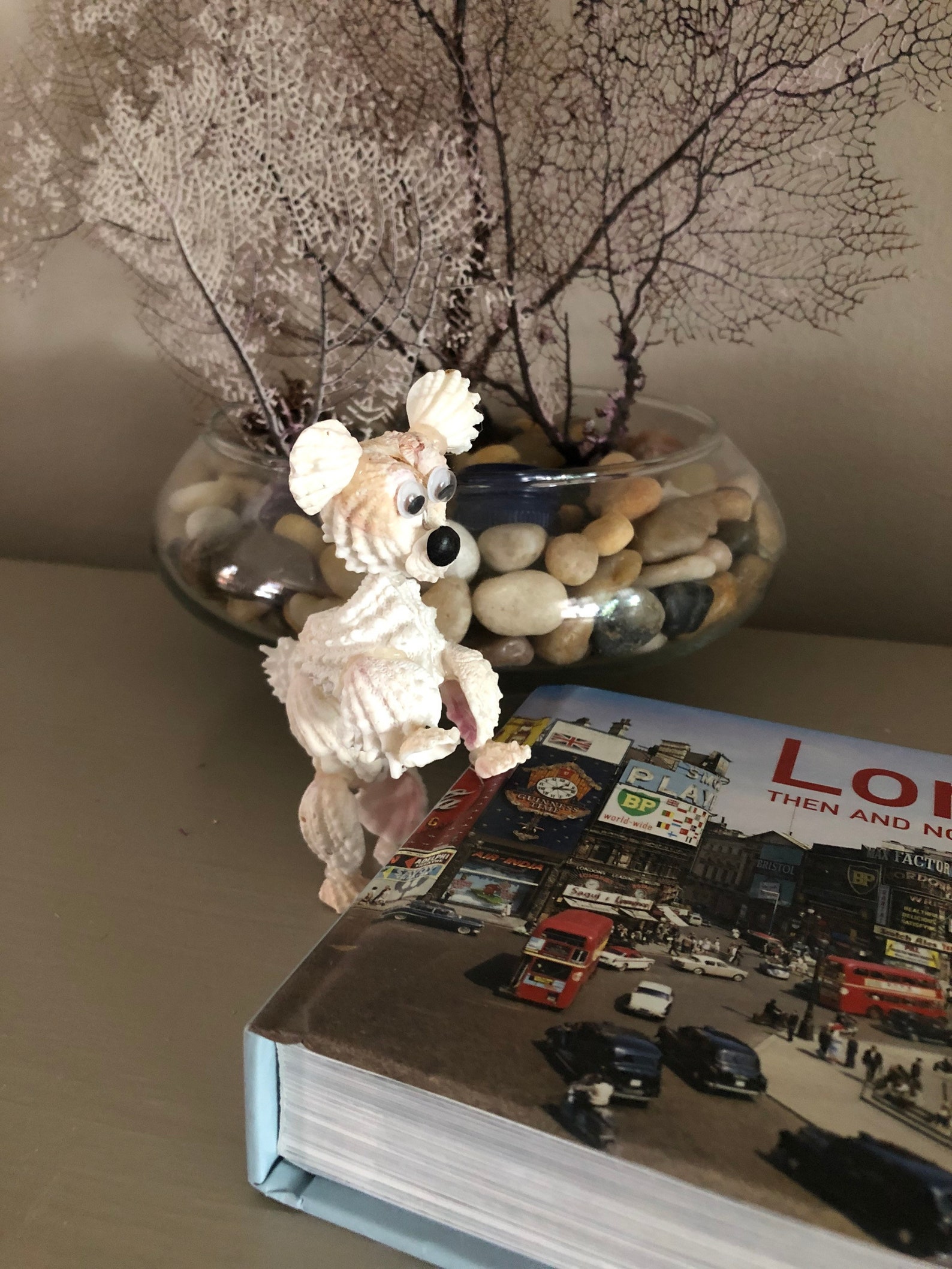 Seashell Dog, Florida Seashell Art, Natural and Genuine Seashell ...