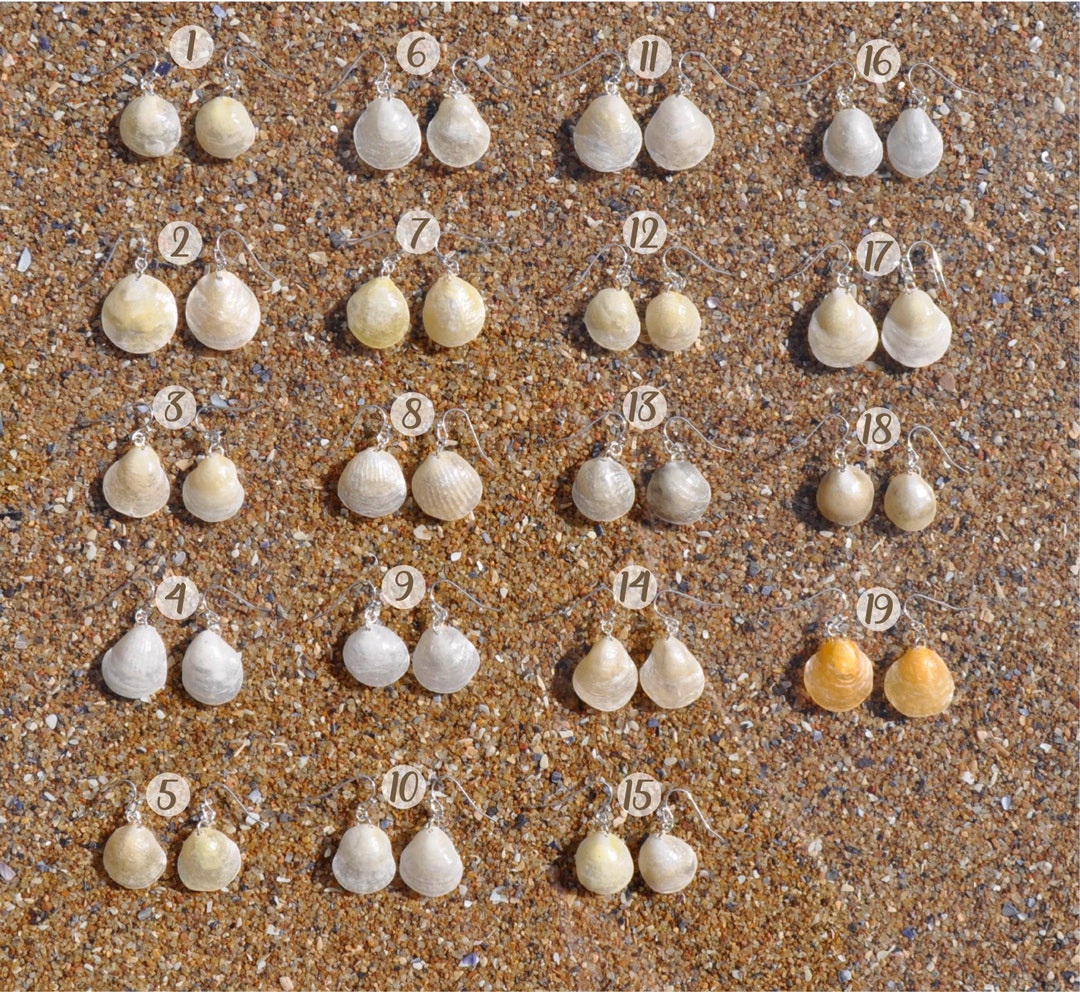 Atlantic Jingle Shell Earrings, Sanibel Island Jewelry, Florida Beach ...