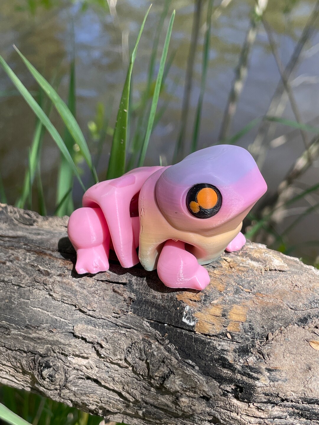 Mini Sherbet Fidget Frogs Toy - Etsy