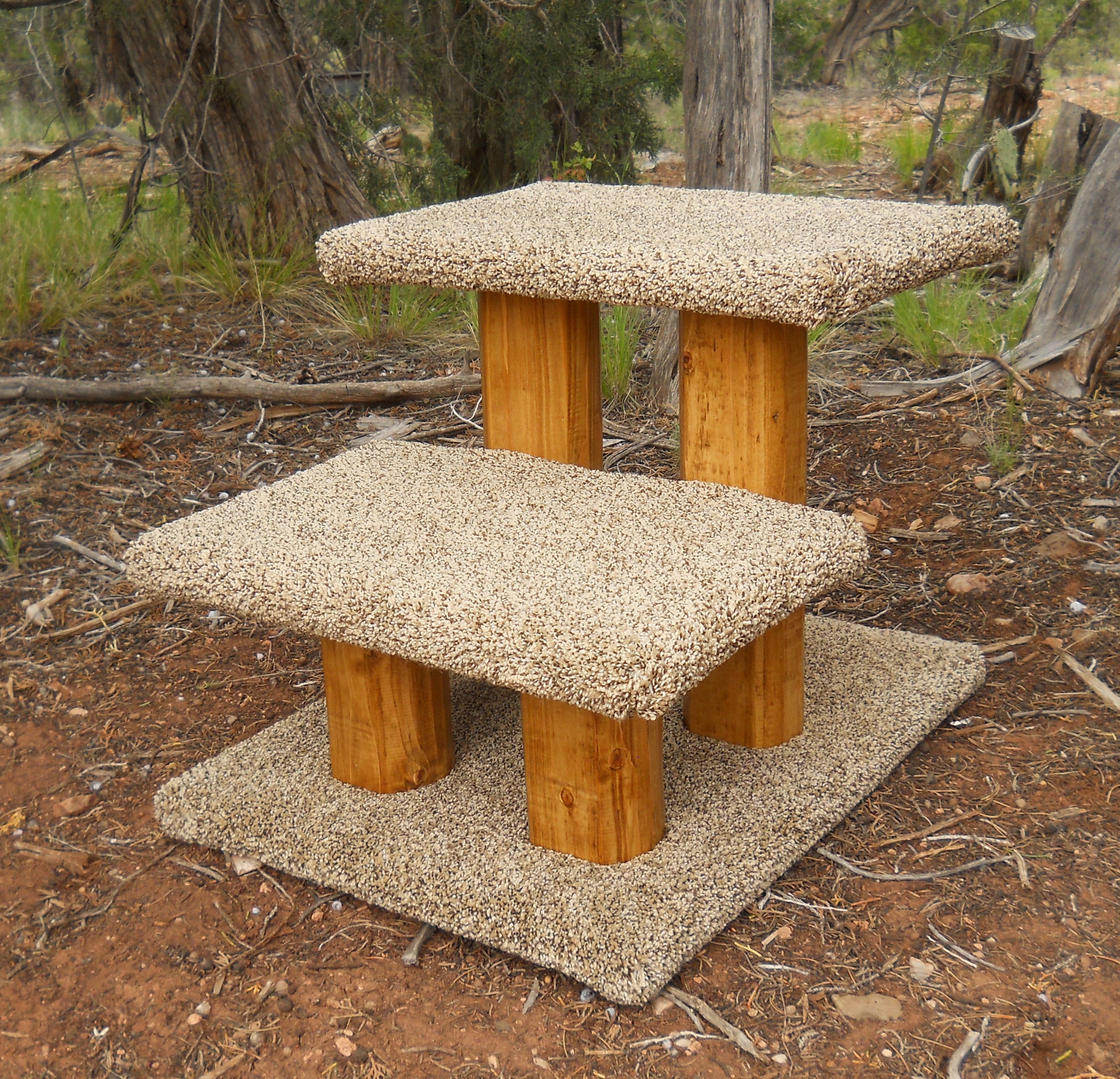 2 Step Pet Stairs - Golden Oak - Etsy