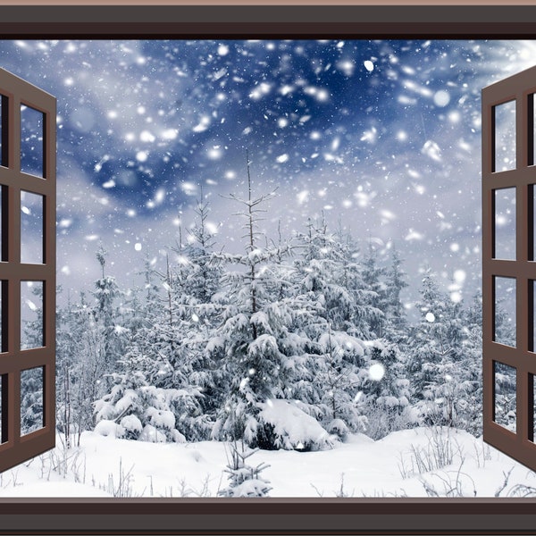 Fake Window 3d Mural - Etsy