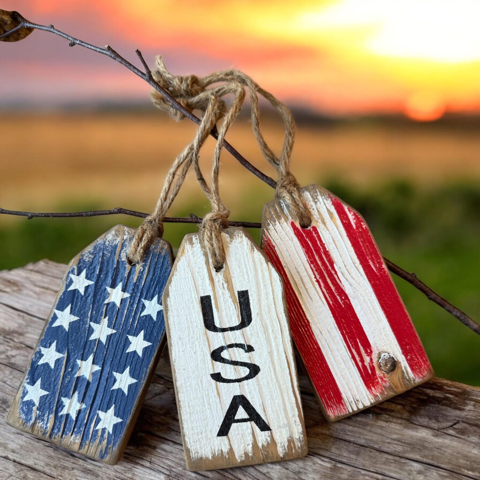 Rustic Patriotic Wood Tags, Americana July 4th Decor, USA Sign Tag Set ...