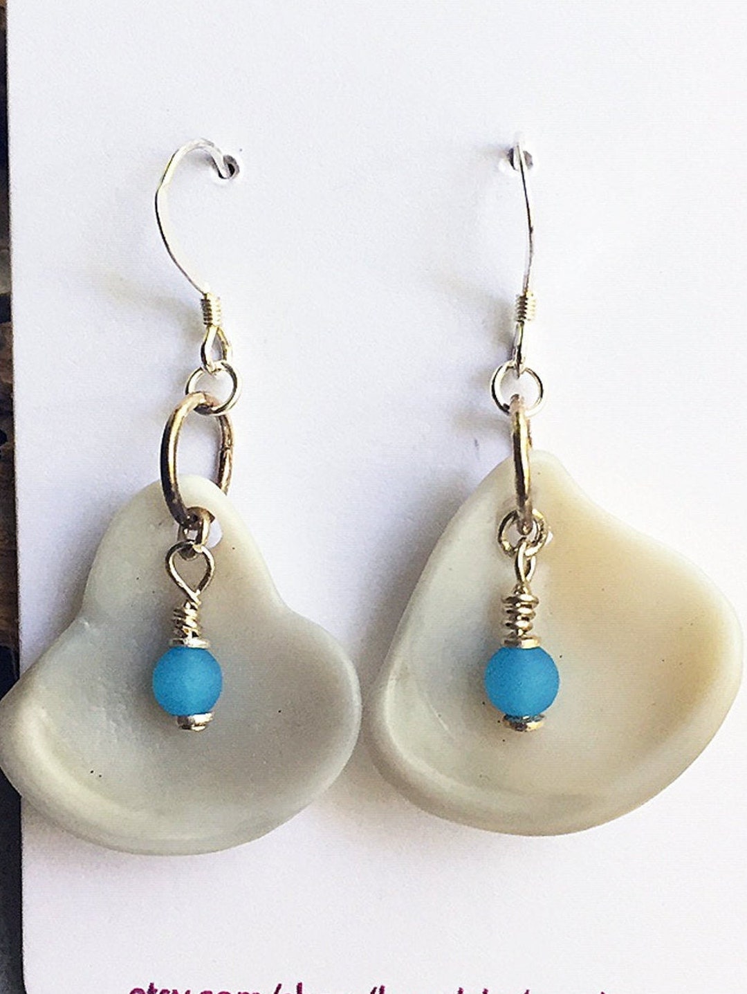Clam Sea Shells Hand Picked From the North Carolina OBX Are Pearly ...