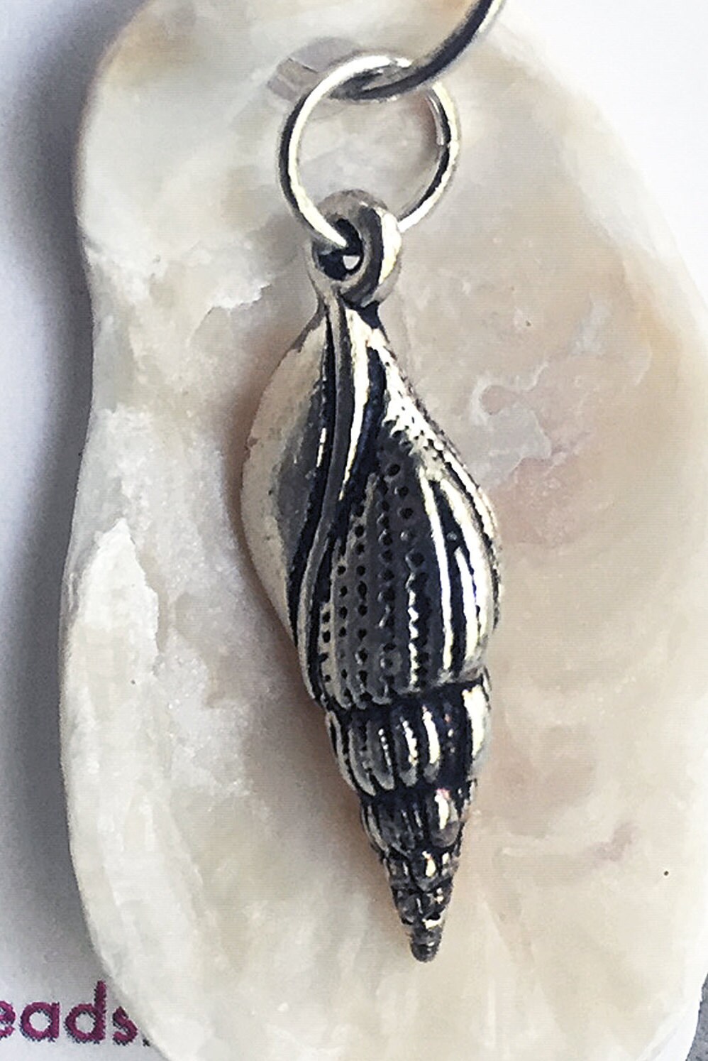 2 Hand Picked Sea Shells From OBX Beaches in North Carolina Are Swirled ...