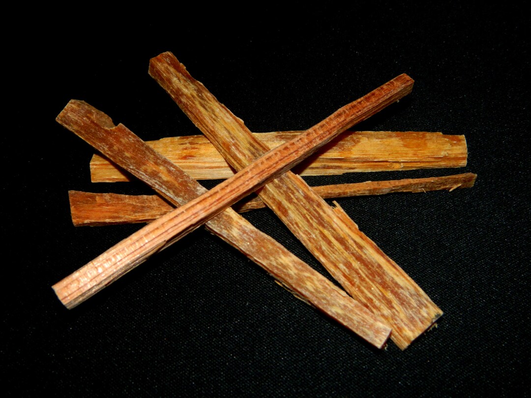 Ocote Stick - Choose Size in Dropdown Box - Spiritual Arte Supplies - Etsy