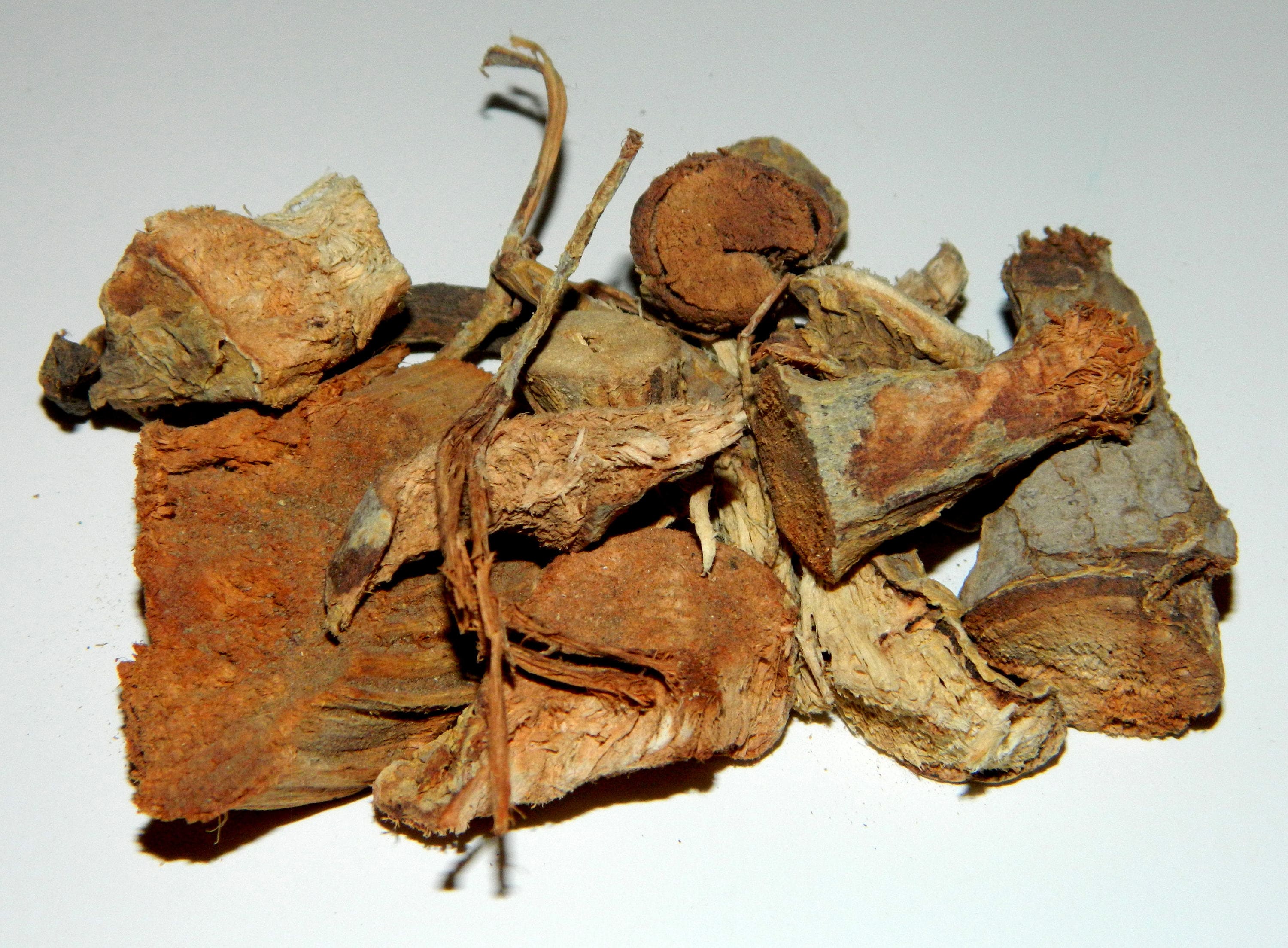 Mexican Dragons Blood Root - Sangre De Grado/drago - Limited - Genuine ...