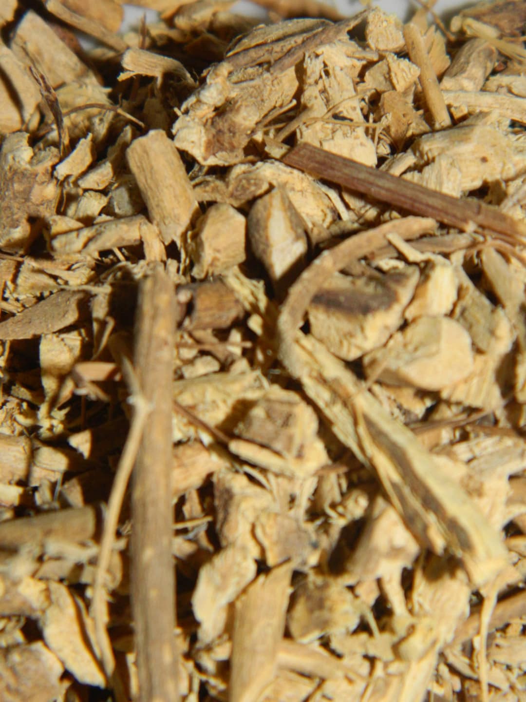 Devil's Shoestring Root - Cut and Sifted - 1/4 Oz. - Etsy