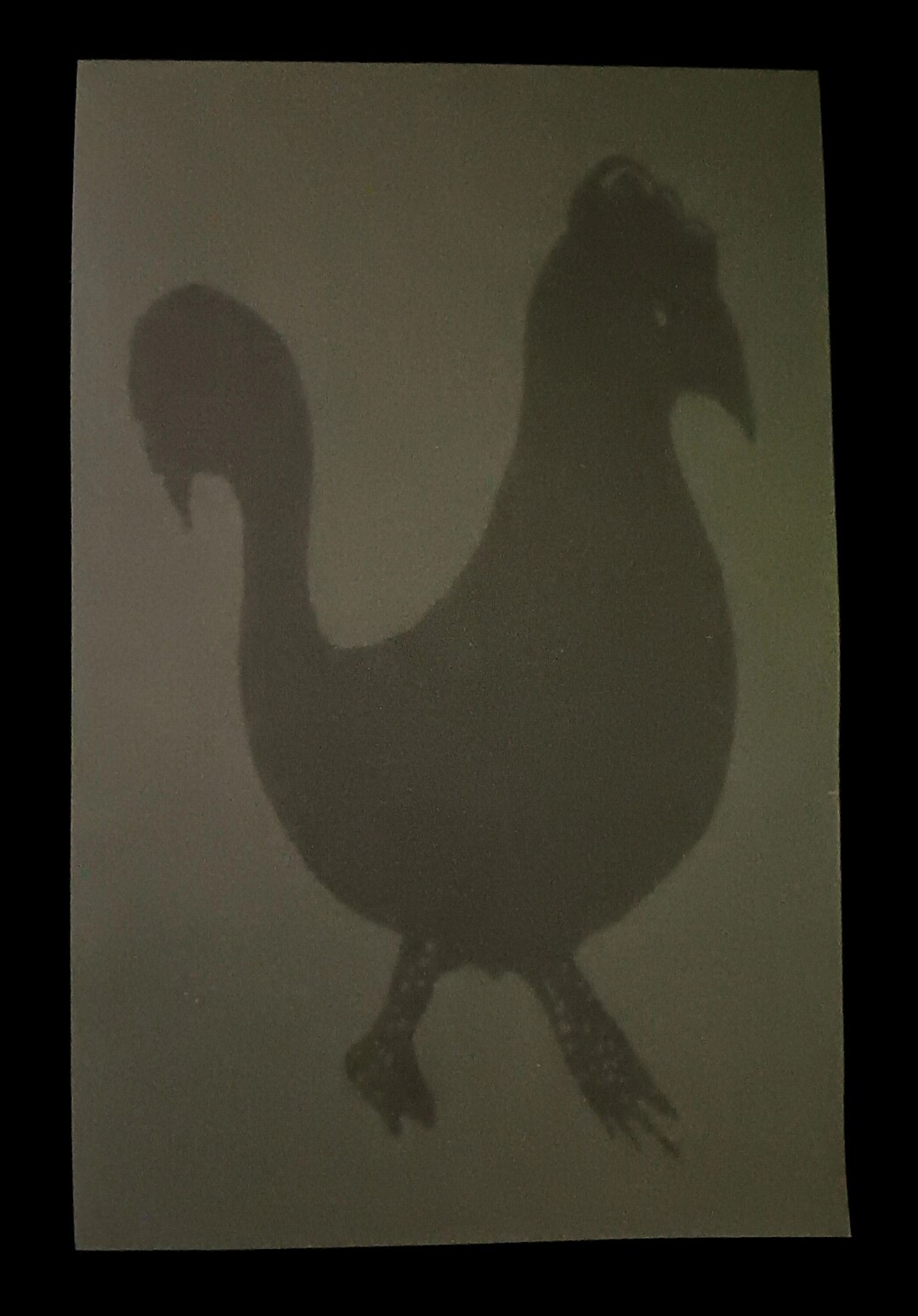 Gallina Negra (black Hen) Water-marked Vellum Parchments - 2 Count ...