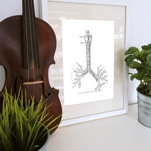 Printable Vintage 1200 DPI Airway Trachea Lungs Pulmonary Gray's ...